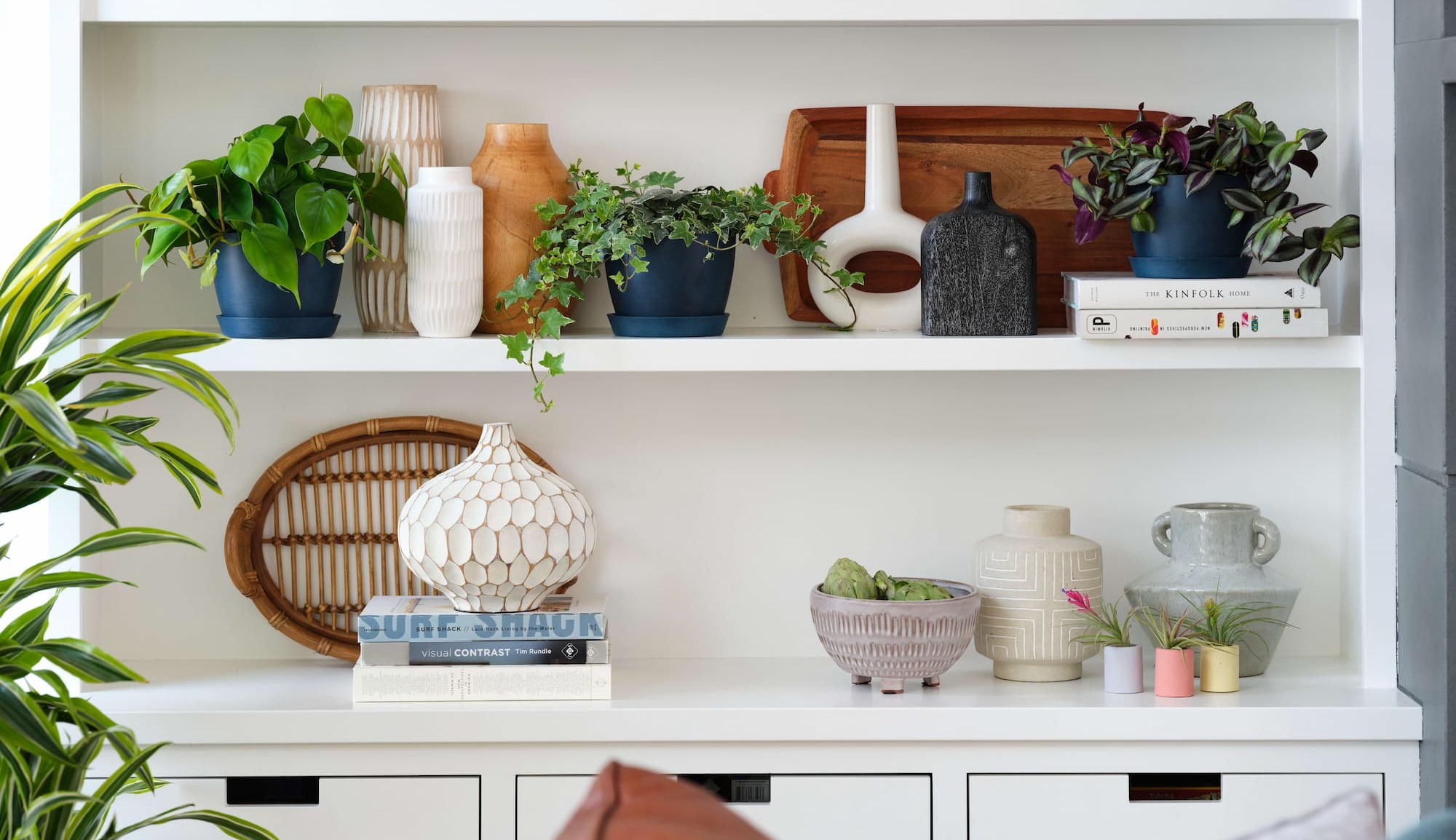 How to Style Trailing Plants 🌱 - Bloomscape