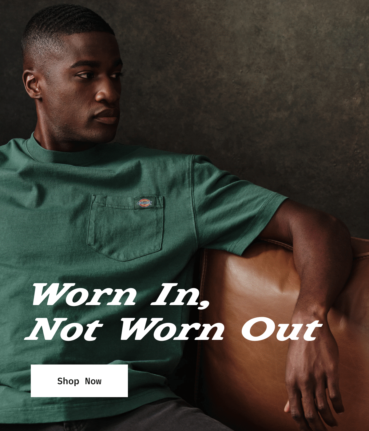 Just Arrived: Worn In, Not Worn Out - Dickies