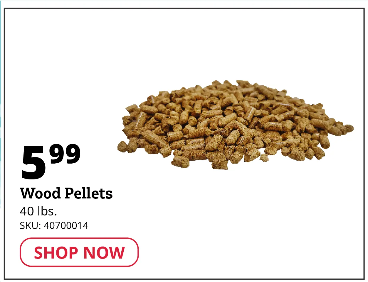 Seasonal Must-Haves for Your Home for Less! - Rural King